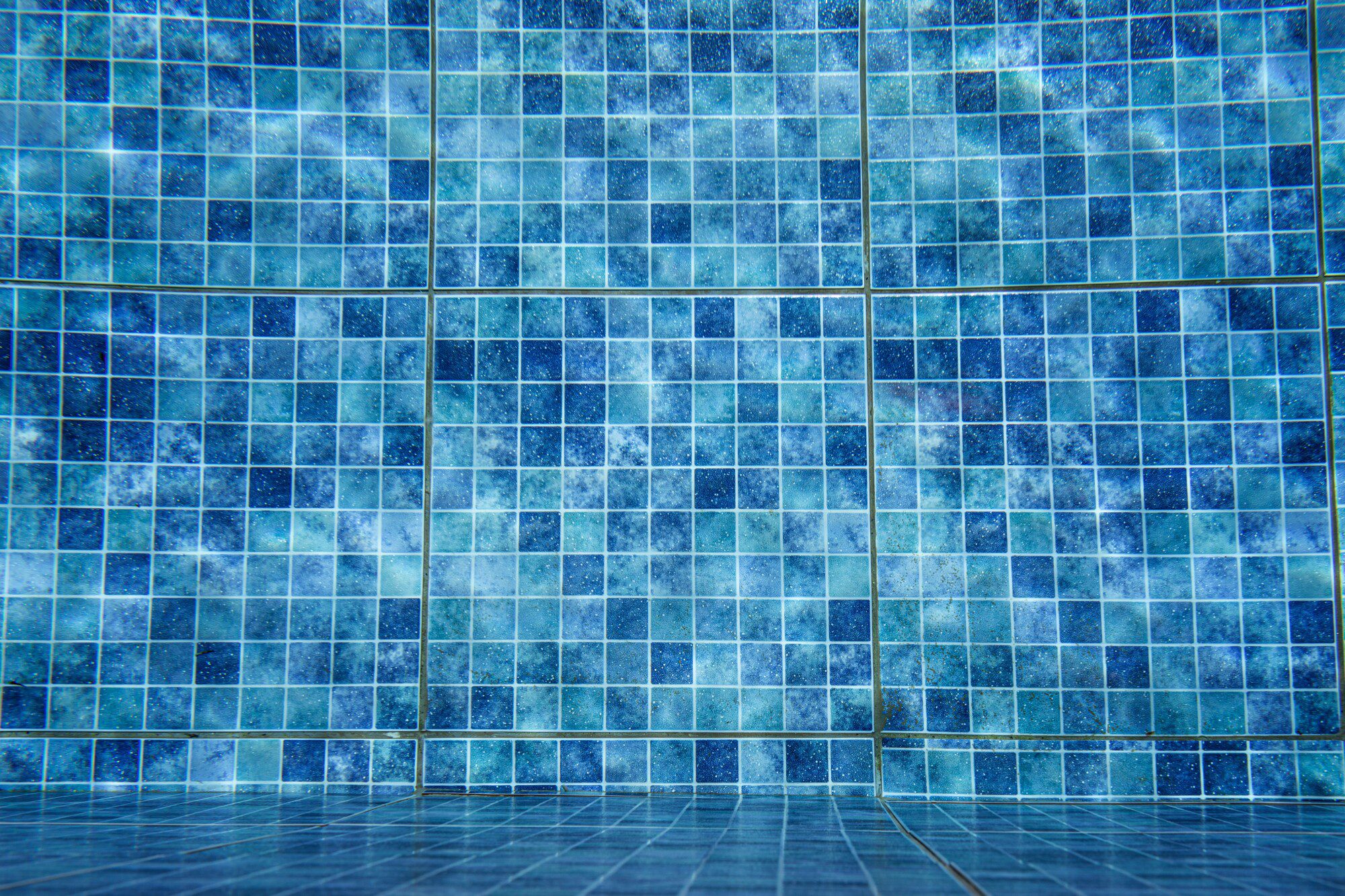 The Different Types of Swimming Pool Tile, Explained | Katy Texas Pool ...