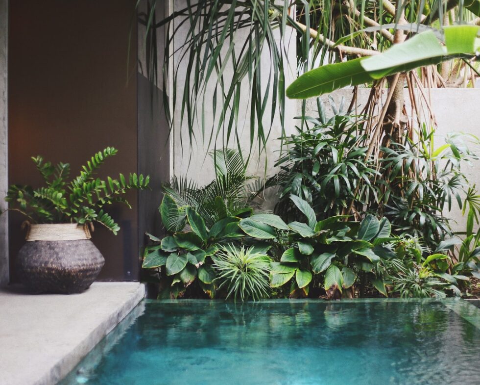 6 Fantastic Natural Pool Designs to Enhance Your Outdoor Space | Katy ...