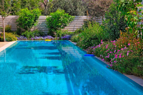 A Complete Guide to the Different Types of Pools in Waller County ...